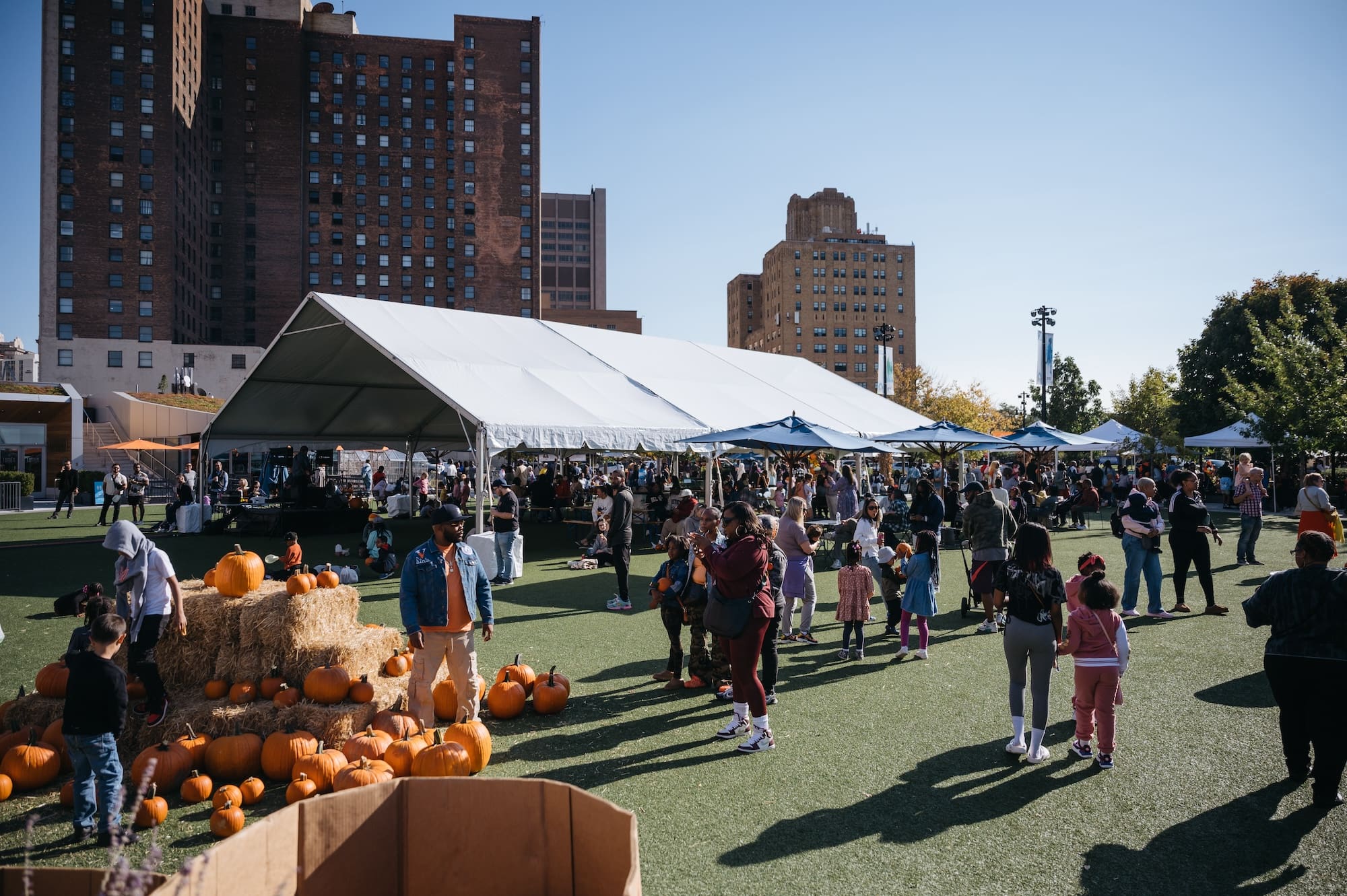 Cider In The City at Beacon Park 2025 - Downtown Detroit Partnership