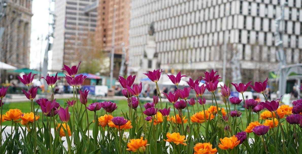 Downtown Detroit Parks | Ice Rink, Drive In & More | Downtown Detroit ...